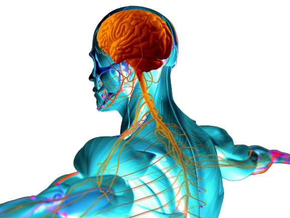 Arch Specialist – Arch Academy